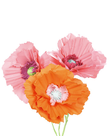 How to Make Colorful Paper Flowers for Spring | North Texas Kids